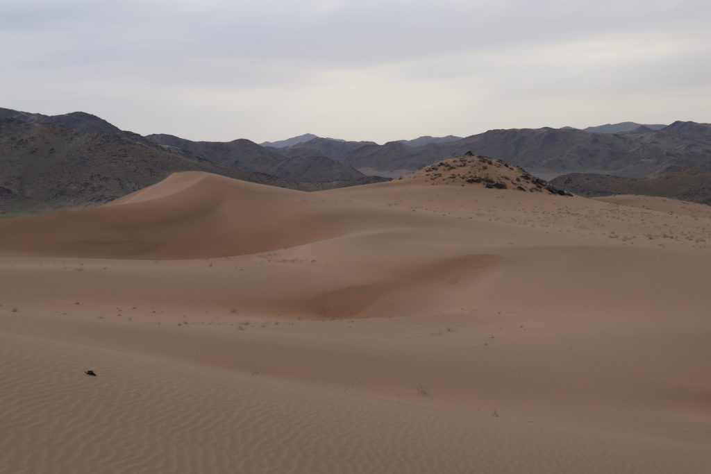 Jeddah Desert - Expat FIRE