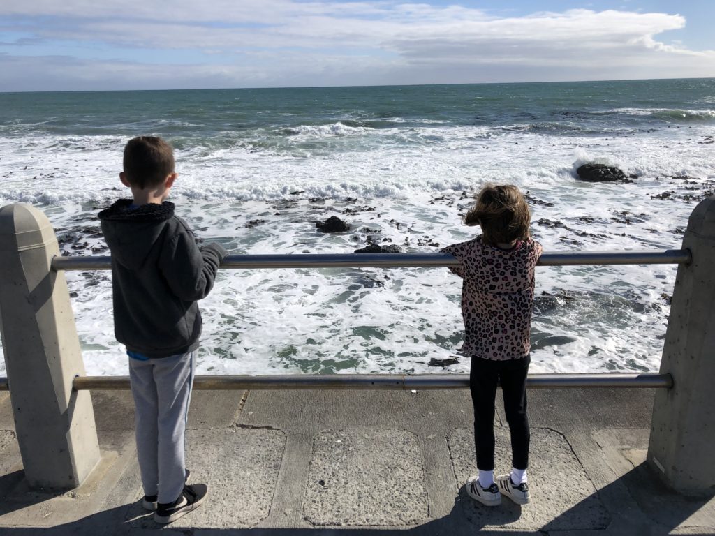 Top 9 Family Friendly Attractions in Cape Town, South Africa - Expat FIRE