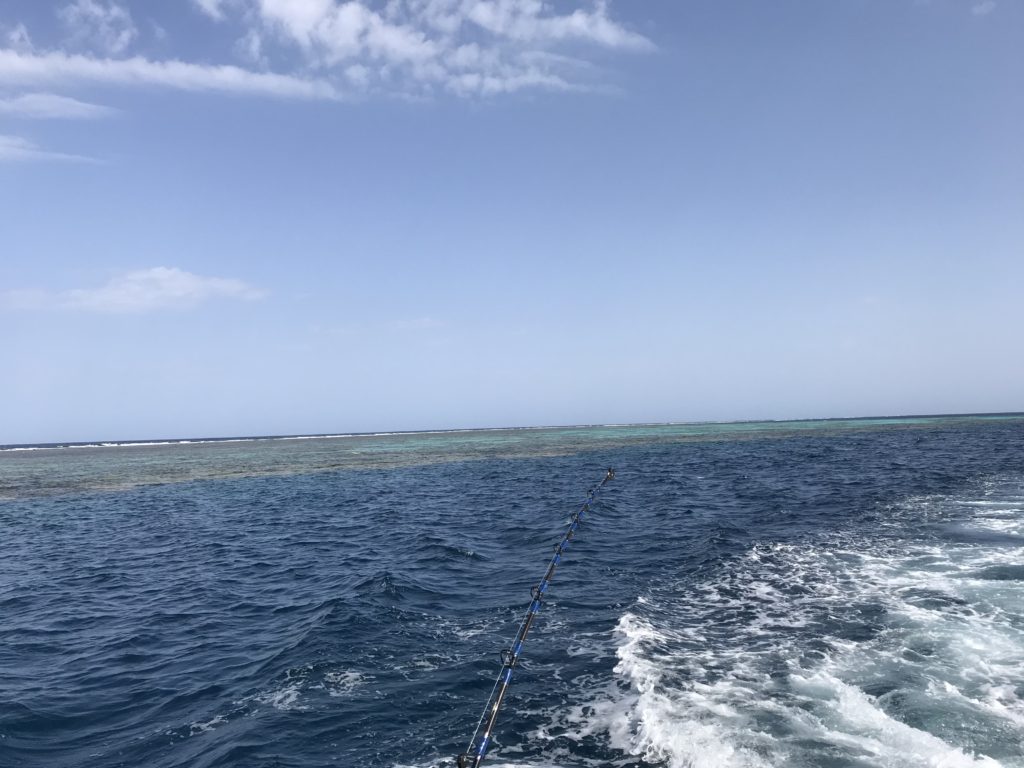 Top Things to See and Do as a Tourist in Saudi Arabia - Expat FIRE